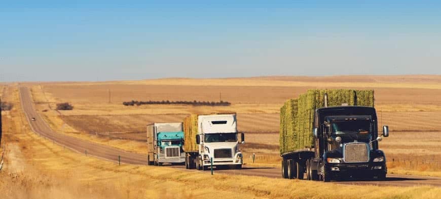 [Case Study] NinjaOne Wins Out Over Other RMMs For Business of North ...