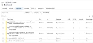 Monitor & Install Missing Patches | NinjaOne