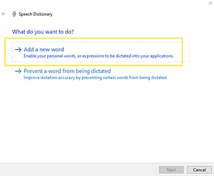 Edit Speech Recognition Dictionary Words | Windows | NinjaOne