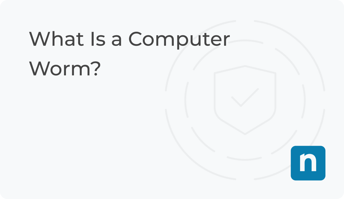 Ver informatique : tout comprendre en 5 minutes