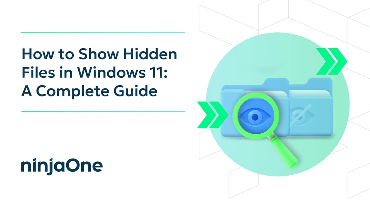 How to Show Hidden Files in Windows 11: A Complete Guide | IT Video Hub ...