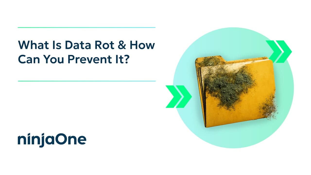 What Is Data Rot & How Can You Prevent It? | IT Video Hub | NinjaOne
