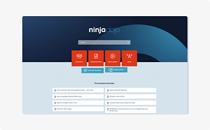 TeamLogic IT - NinjaOne