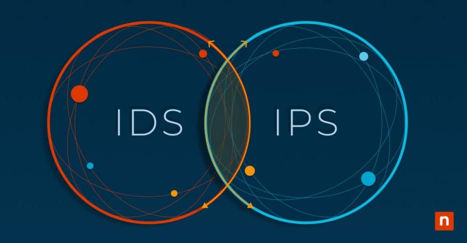 IDS vs. IPS: Definitions and Key Differences | NinjaOne