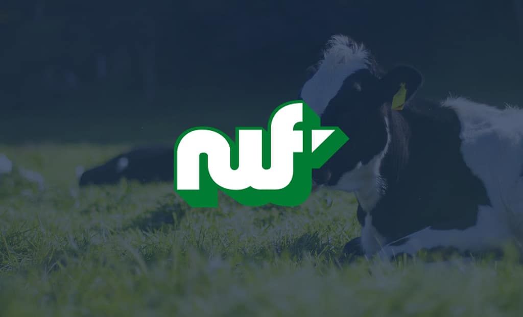 How NinjaOne streamlined NWF’s processes to save 30+ hours per month in manual labor - NinjaOne